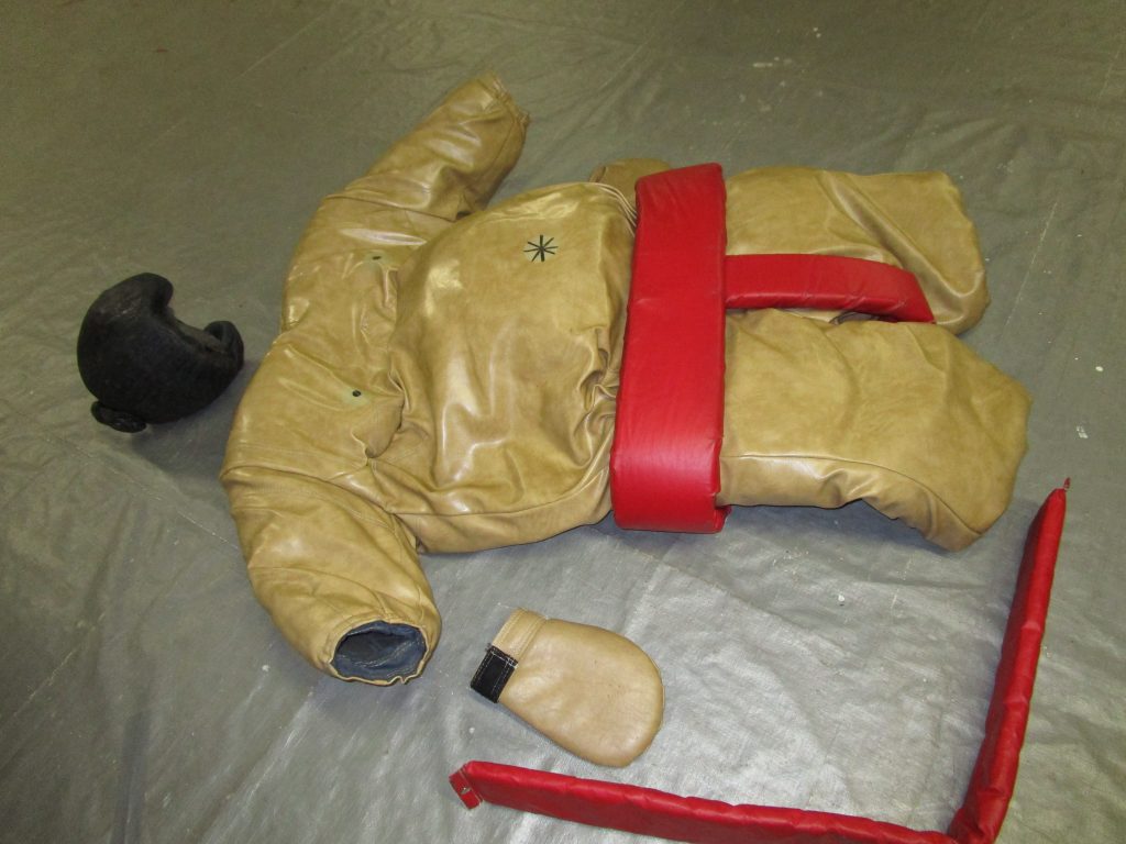 Sumo Wrestlers with Mat - Rental-World