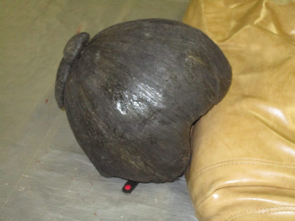 Sumo Wrestlers with Mat - Rental-World