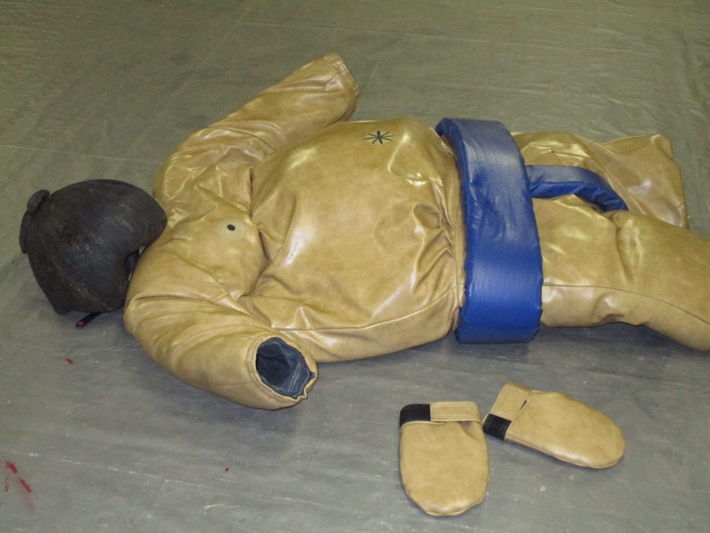 Sumo Wrestlers with Mat - Rental-World